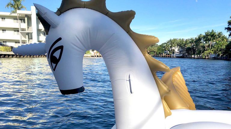 Inflatable Ride-Ons - Lauderdale Yacht Charters